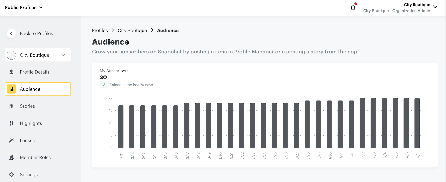 What is a Public Profile for Business?