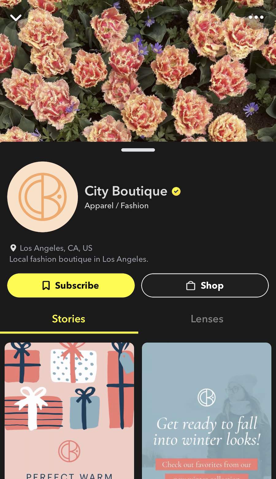 How to Set up a Public Profile for your Business