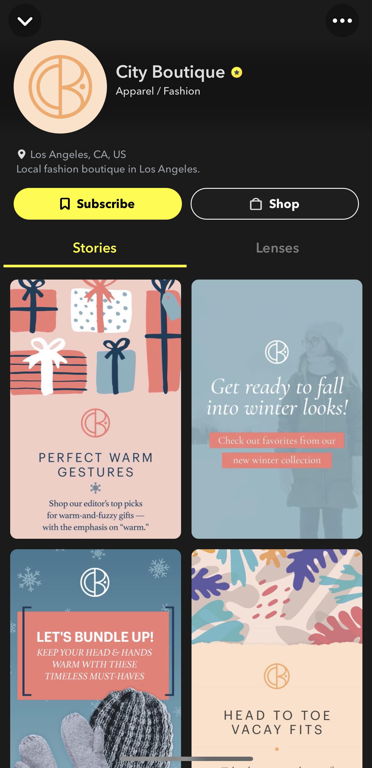 What is a Public Profile for Business?